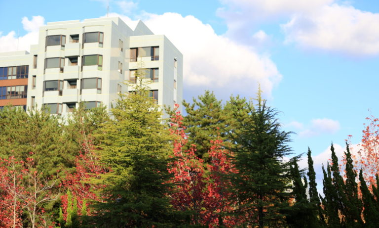 佐藤俊樹研究室, 北陸先端科学技術大学院大学 – SATO Toshiki(tsato) Laboratory, JAIST, since ...