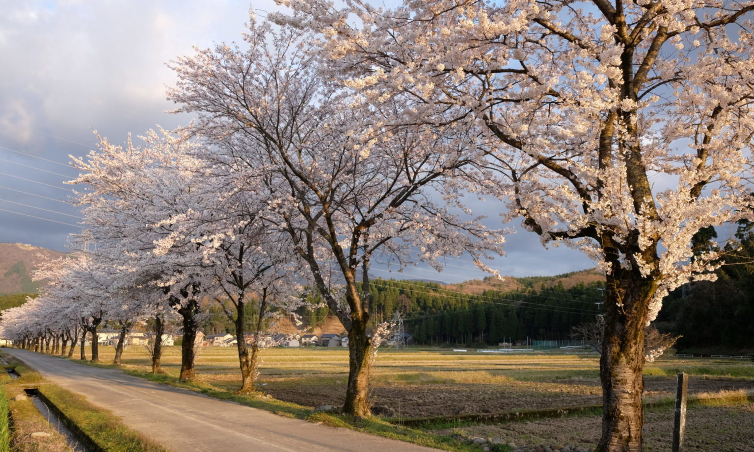 佐藤俊樹研究室, 北陸先端科学技術大学院大学 – SATO Toshiki(tsato) Laboratory, JAIST, since ...