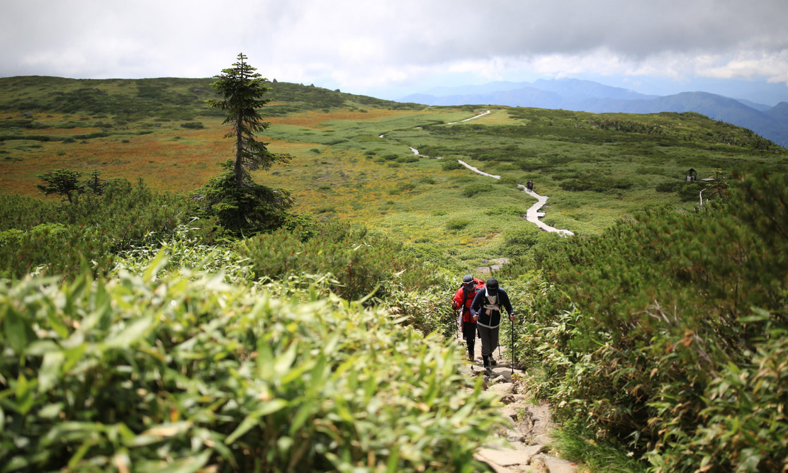 佐藤俊樹研究室, 北陸先端科学技術大学院大学 – SATO Toshiki(tsato) Laboratory, JAIST, since ...