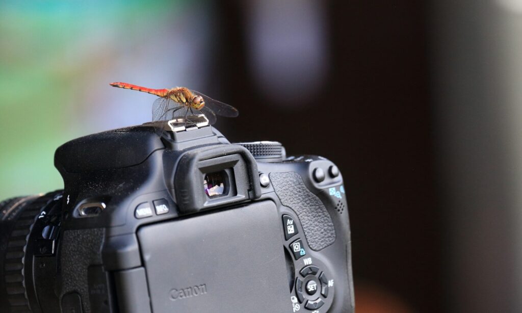 佐藤俊樹研究室, 北陸先端科学技術大学院大学 – SATO Toshiki(tsato) Laboratory, JAIST, since ...