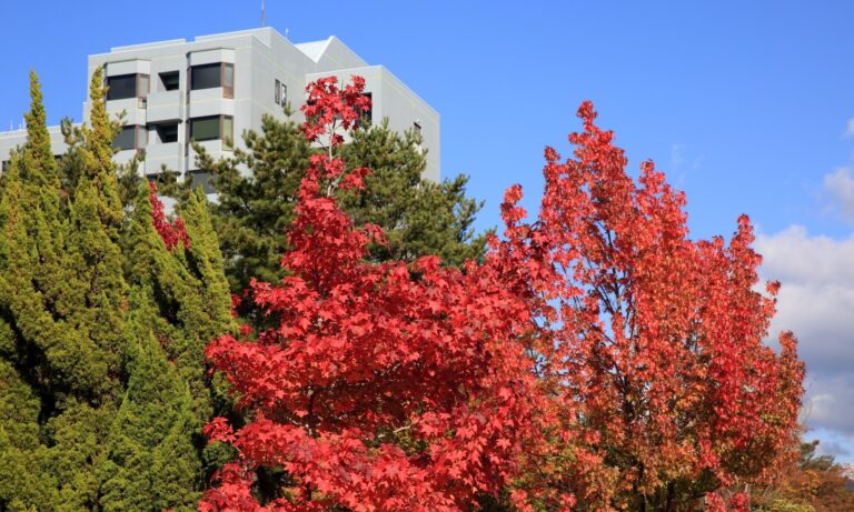 佐藤俊樹研究室, 北陸先端科学技術大学院大学 – SATO Toshiki(tsato) Laboratory, JAIST, since ...