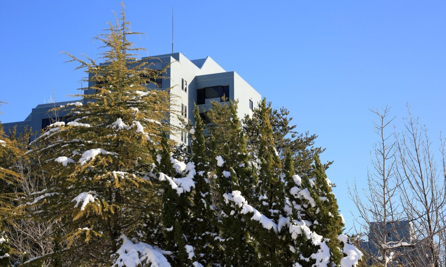 佐藤俊樹研究室, 北陸先端科学技術大学院大学 – SATO Toshiki(tsato) Laboratory, JAIST, since ...